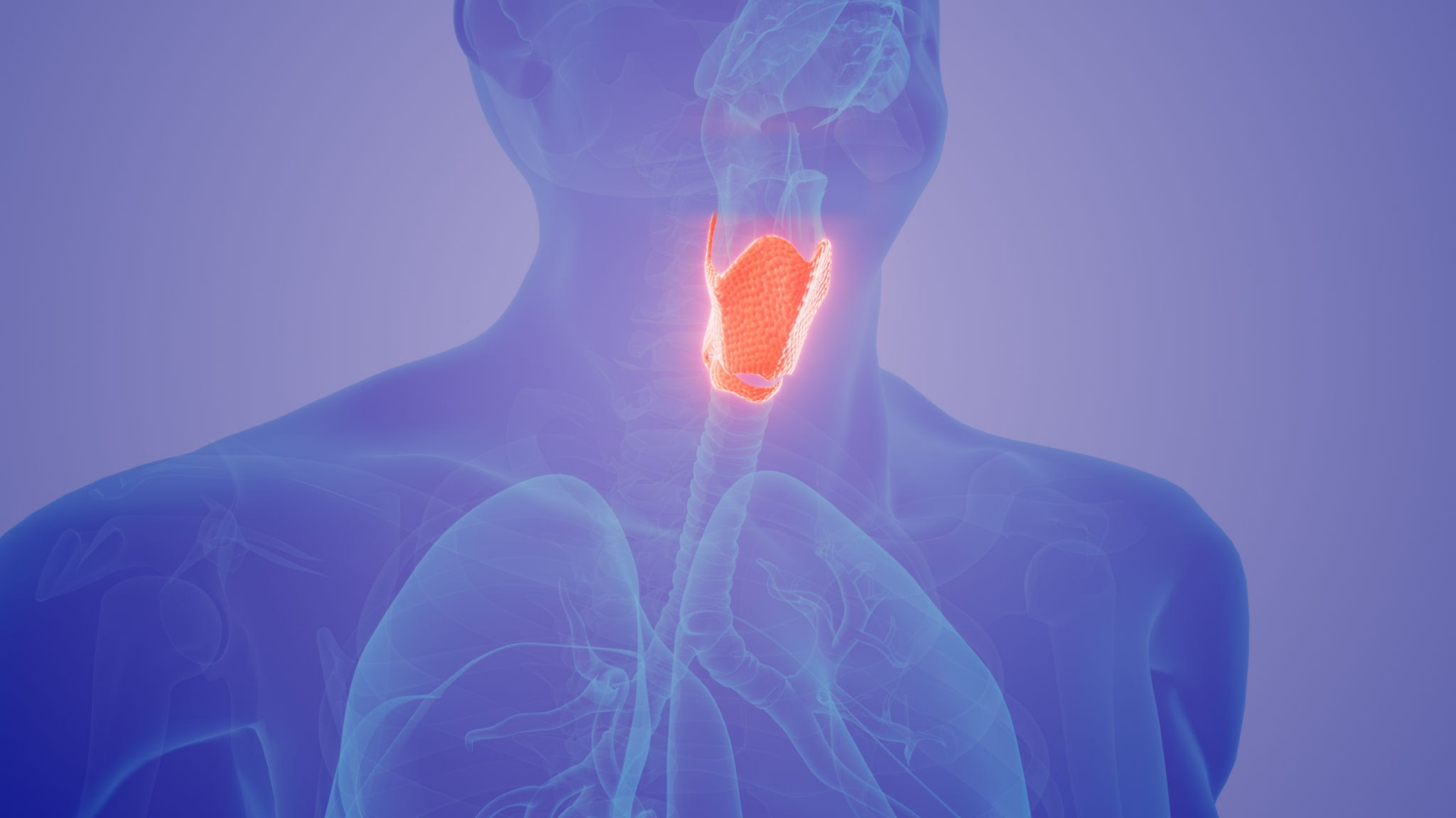 Adam's Apple Removal Scar Options: Finding Harmony